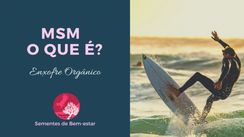 MSM – O que é e quais os benefícios do MSM? - Elisabete Milheiro