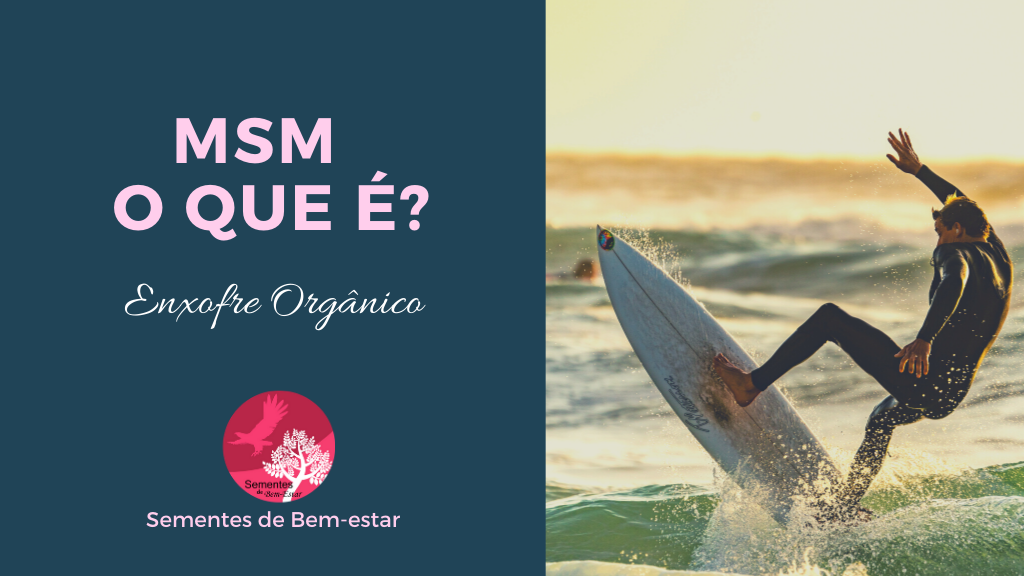MSM – O que é e quais os benefícios do MSM? - Elisabete Milheiro